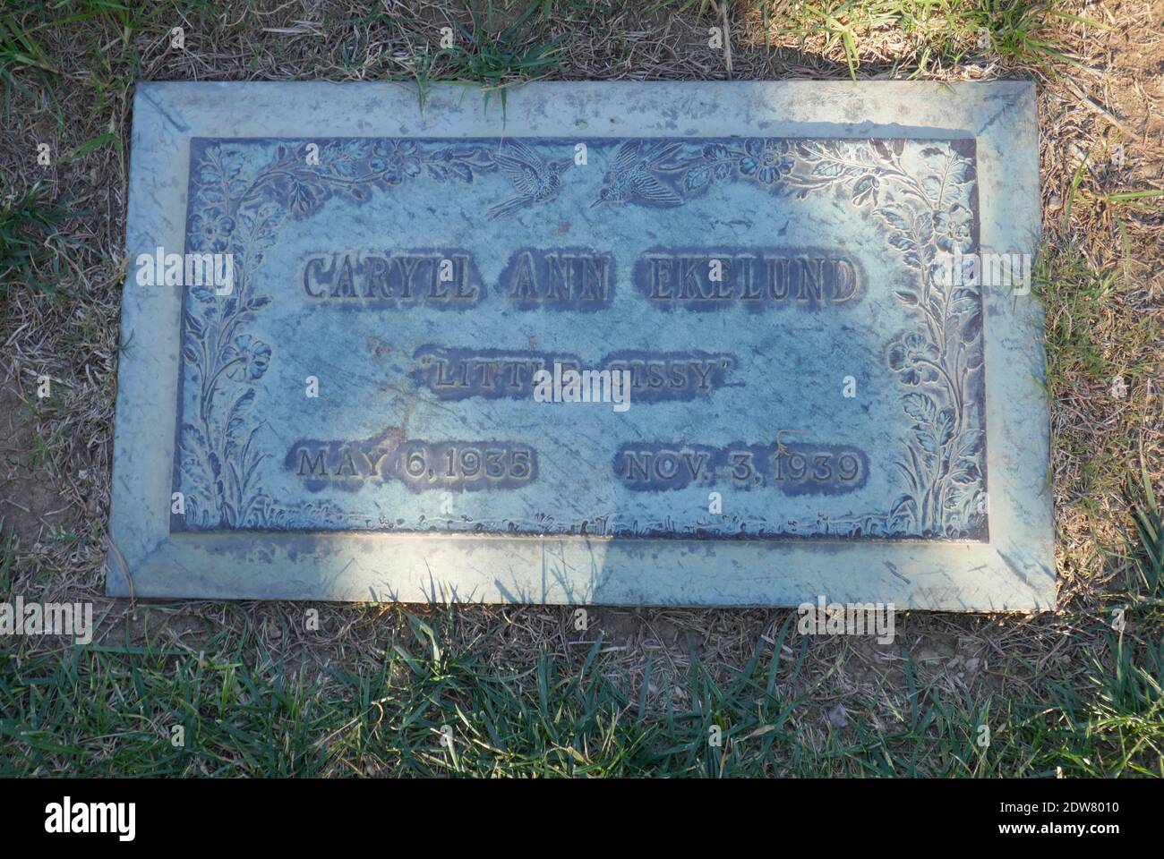 Caryll ann ekelund hi-res stock photography and images - Alamy