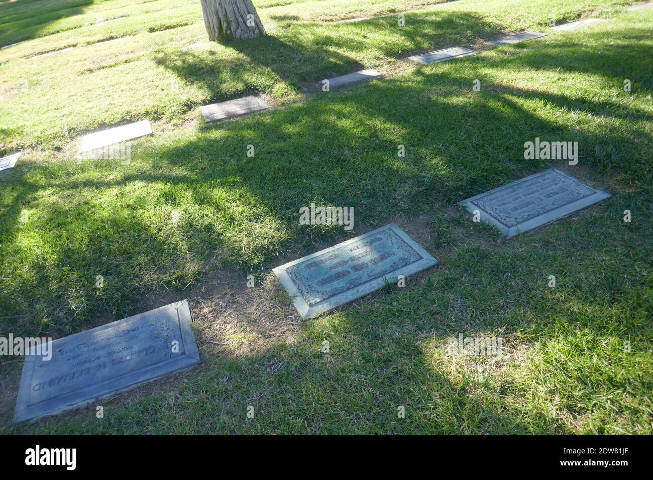 Caryll Ann Ekelund Empowering Individuals With Cerebral Palsy | Frost