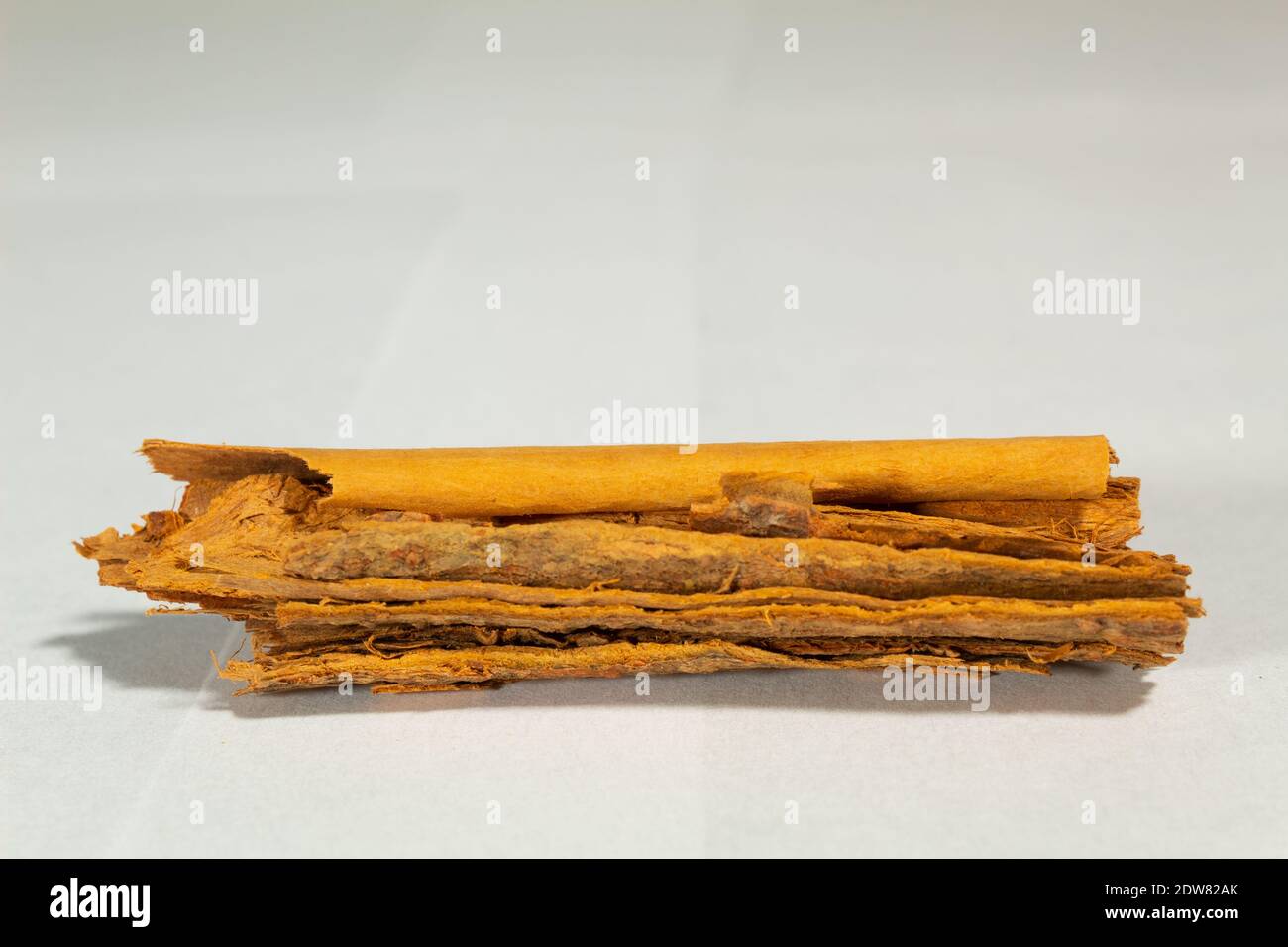 dried cinnamon sticks on a white background Stock Photo - Alamy