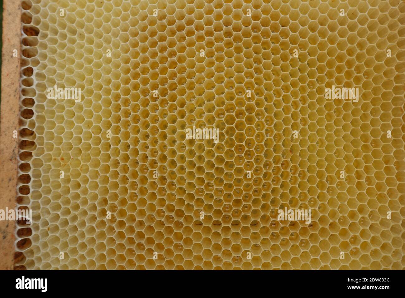 Abstract honeycomb effect hi-res stock photography and images - Alamy