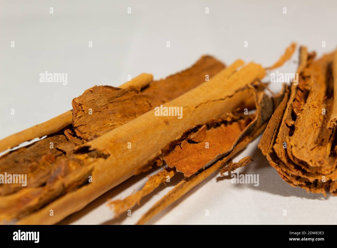 dried cinnamon sticks on a white background Stock Photo - Alamy