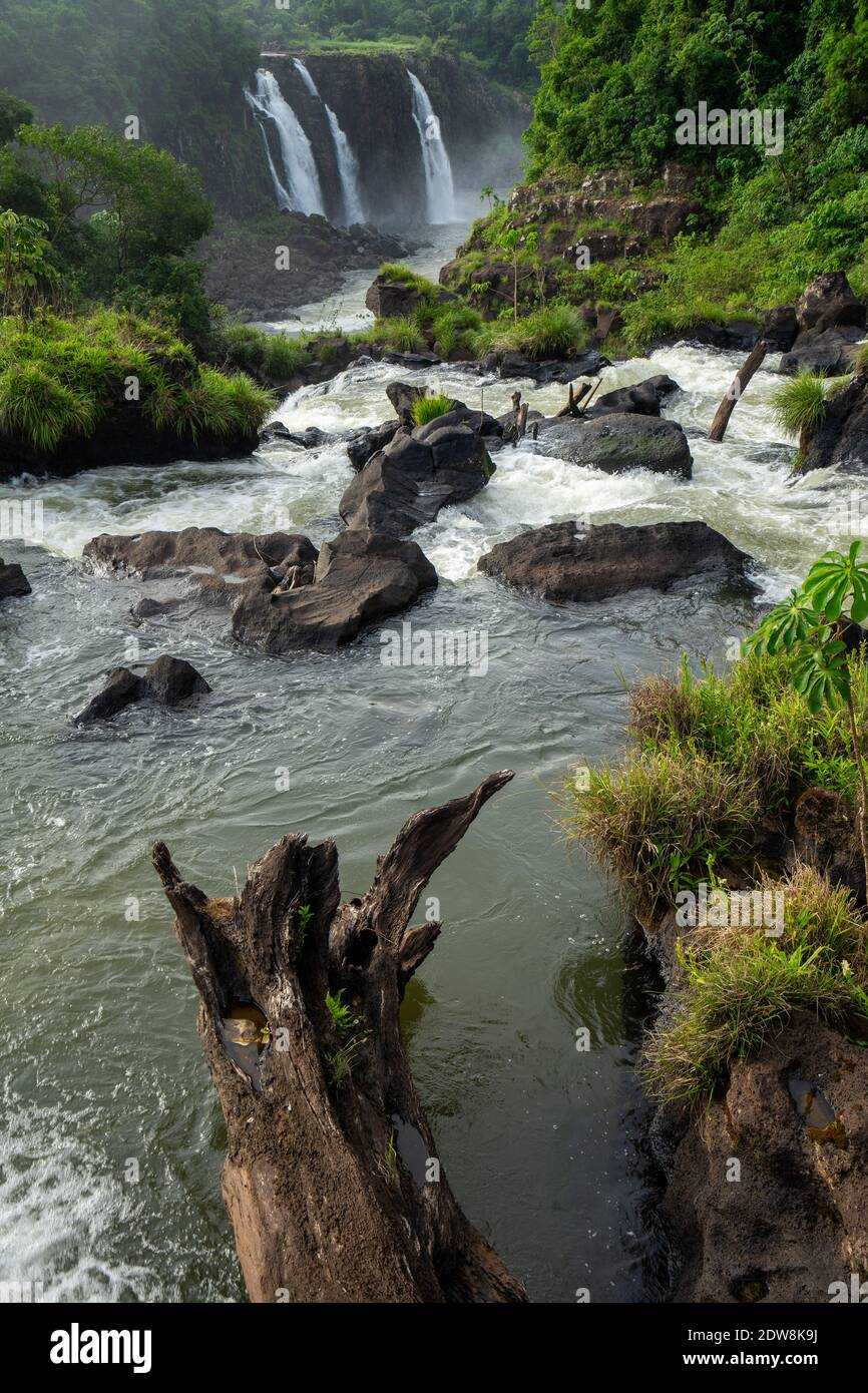 One of the biggest waterfalls of the world, Foz do Iguaçu (Iguazu Falls ...