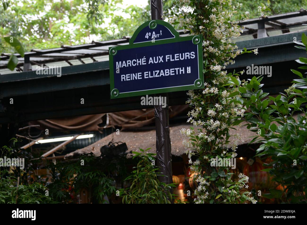 Illustration of Flower Market in Paris, France, on June 07, 2014. A ...