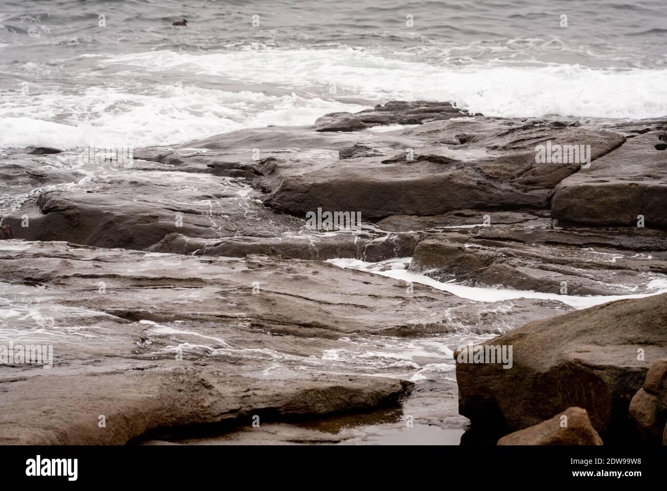 Wet coastal rocks Maine USA Stock Photo - Alamy