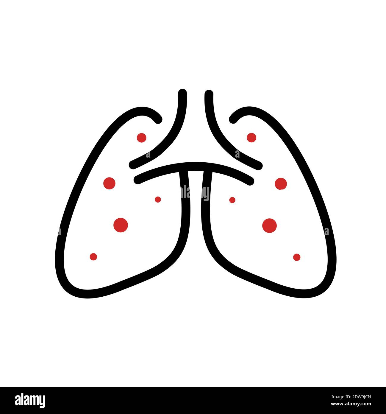 Abstract kidney anatomy vector Cut Out Stock Images & Pictures - Alamy