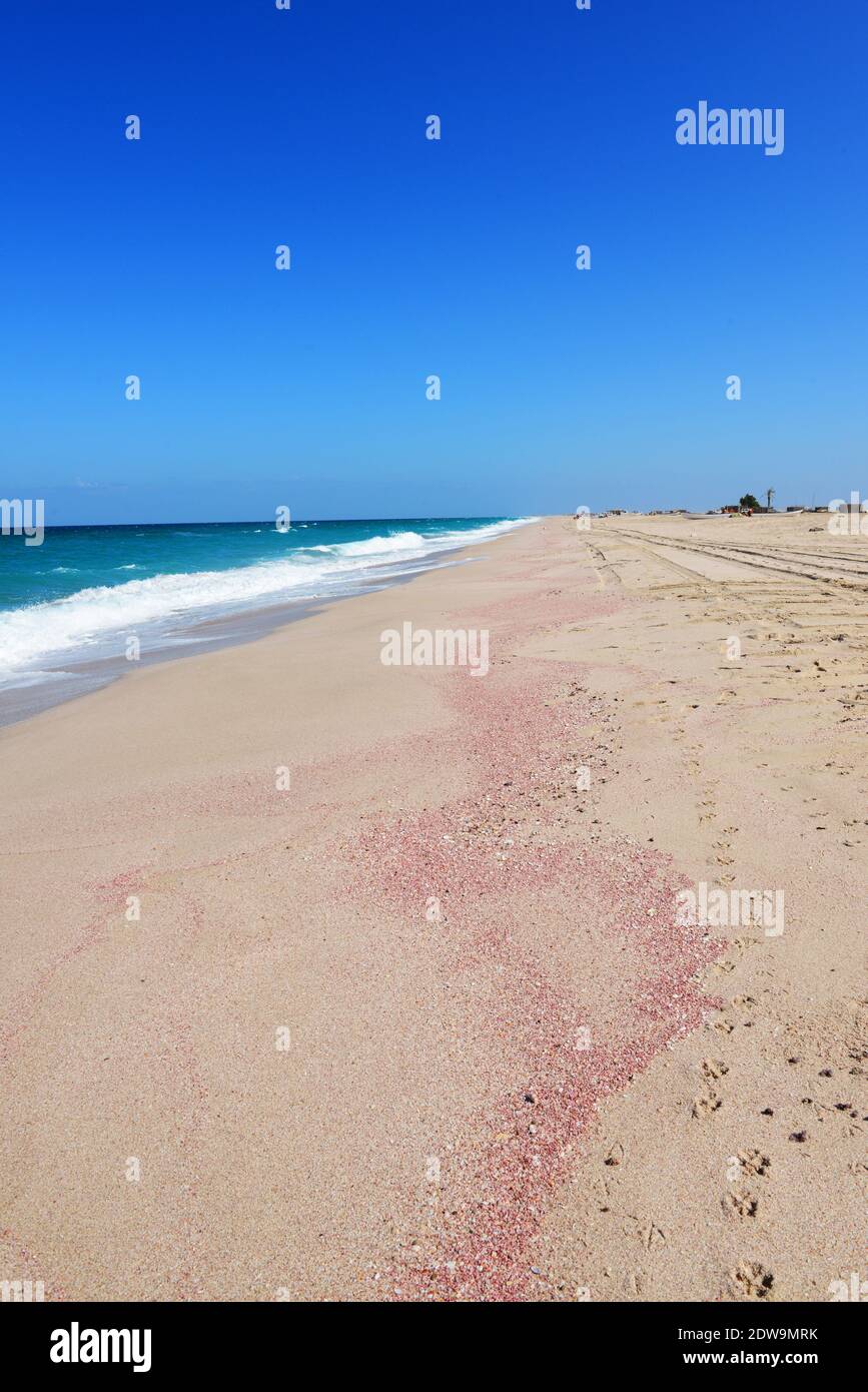 The beautiful beach in Ras Al Hadd in Oman Stock Photo - Alamy