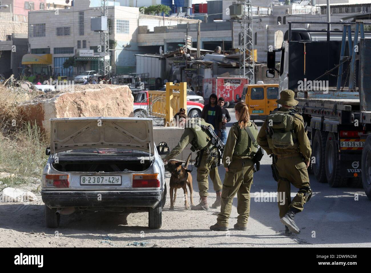 Israeli soldiers use a dog to inspect a Palestinian vehicle at an ...