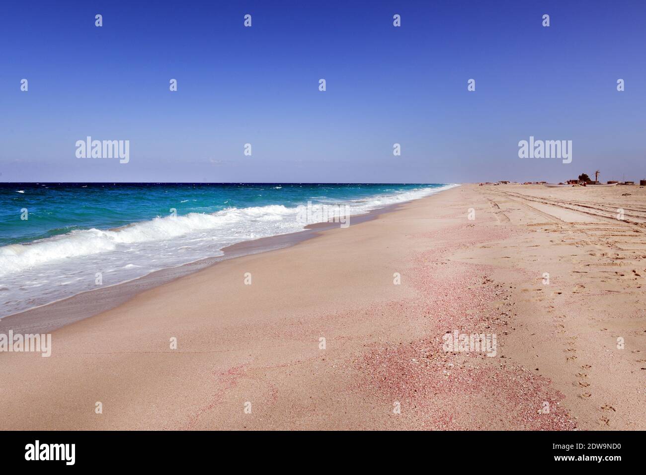 The beautiful beach in Ras Al Hadd in Oman Stock Photo - Alamy