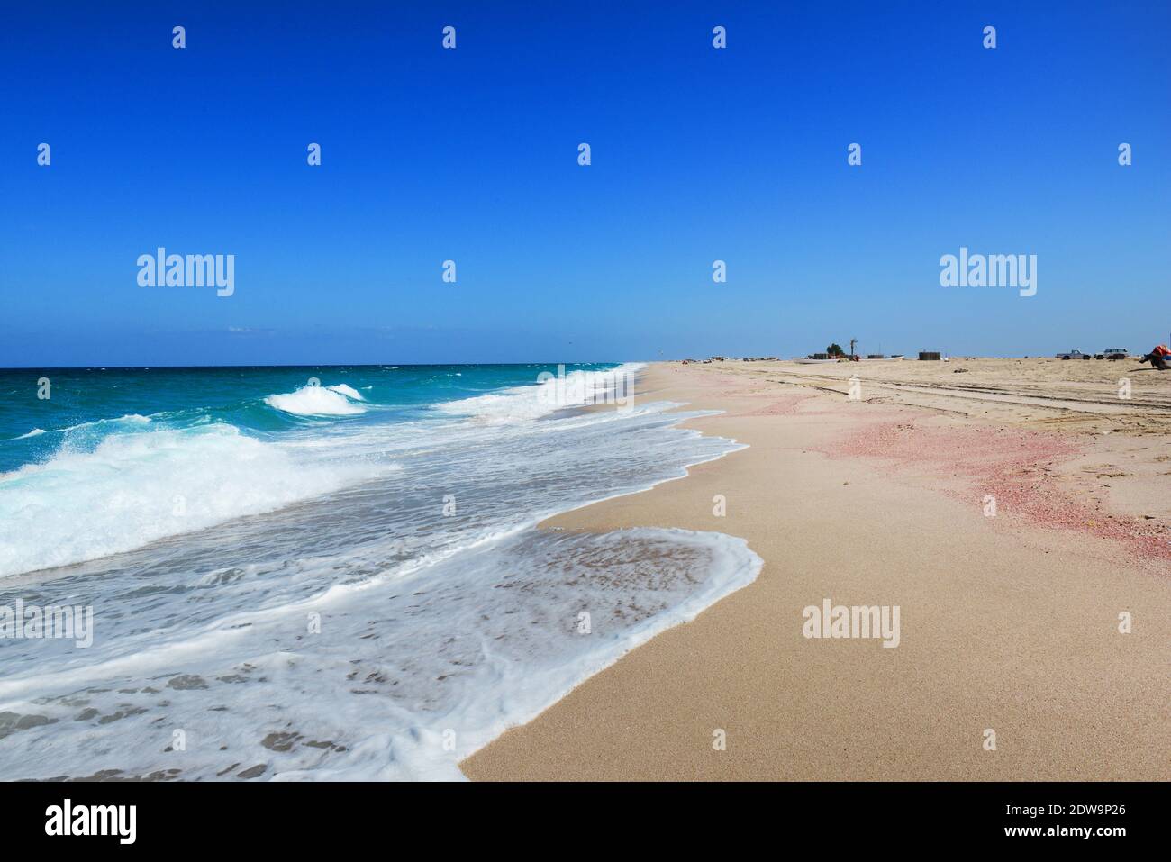 The beautiful beach in Ras Al Hadd in Oman Stock Photo - Alamy