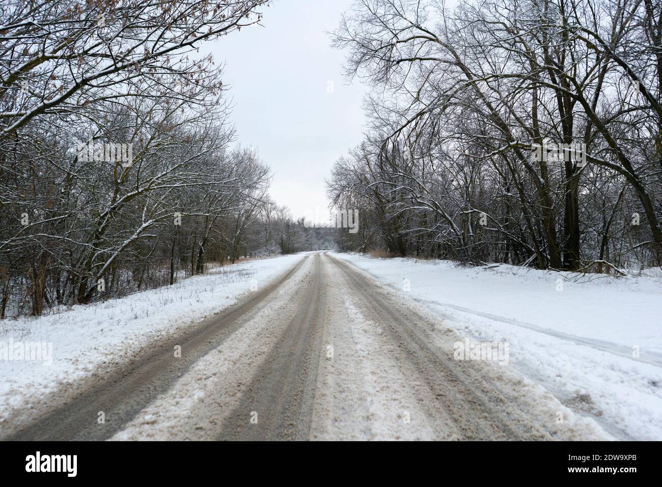 snowy highway road going through the forest and trees, winter season ...