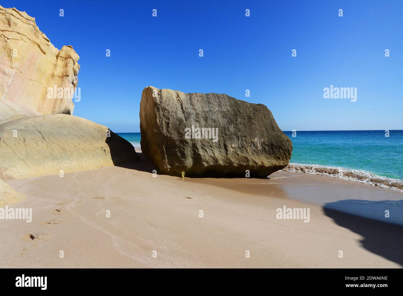 Oman turtle hi-res stock photography and images - Alamy