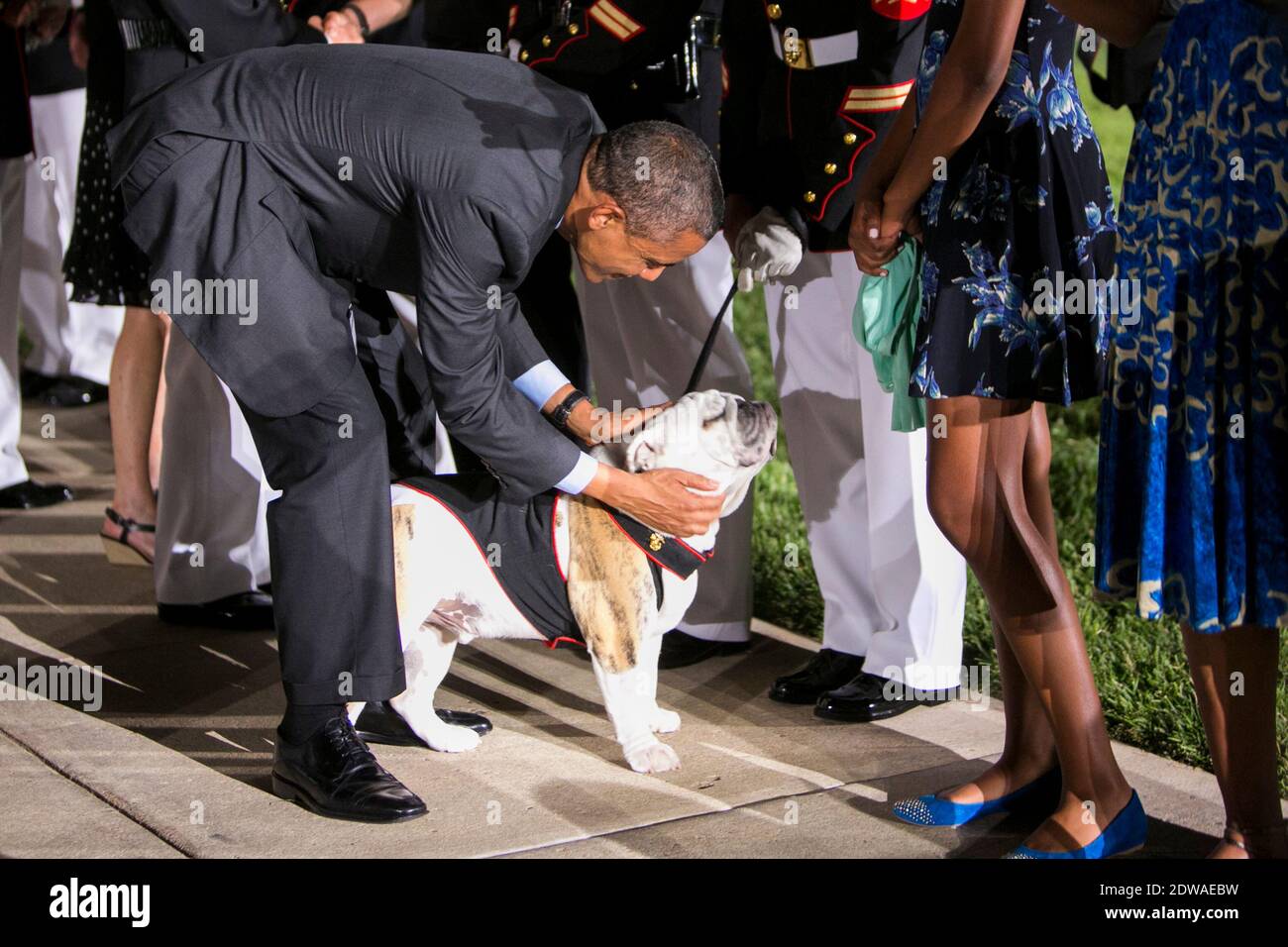 President Barack Obama pets Chesty XIV The Marine Corps Mascot at the ...