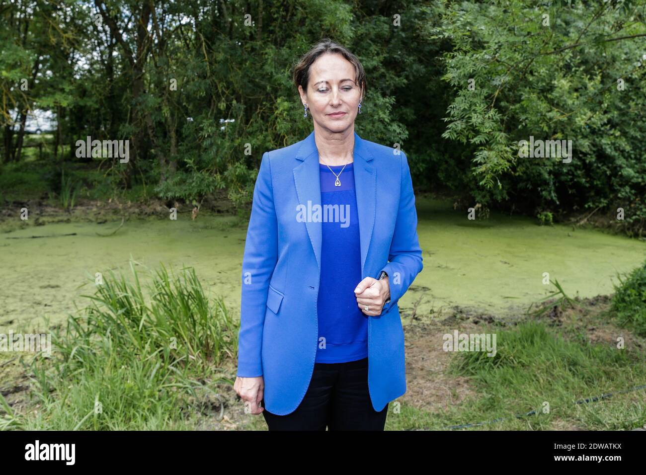 Segolene Royal, Minister of the Ecology of Sustainable Development and ...