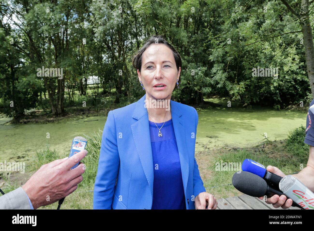 Segolene Royal, Minister of the Ecology of Sustainable Development and ...