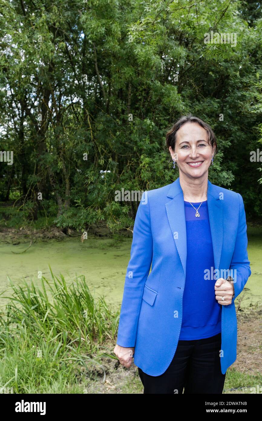 Segolene Royal, Minister of the Ecology of Sustainable Development and ...