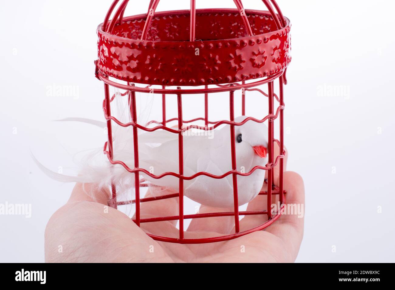 Person Holding Bird Cage High Resolution Stock Photography and Images ...