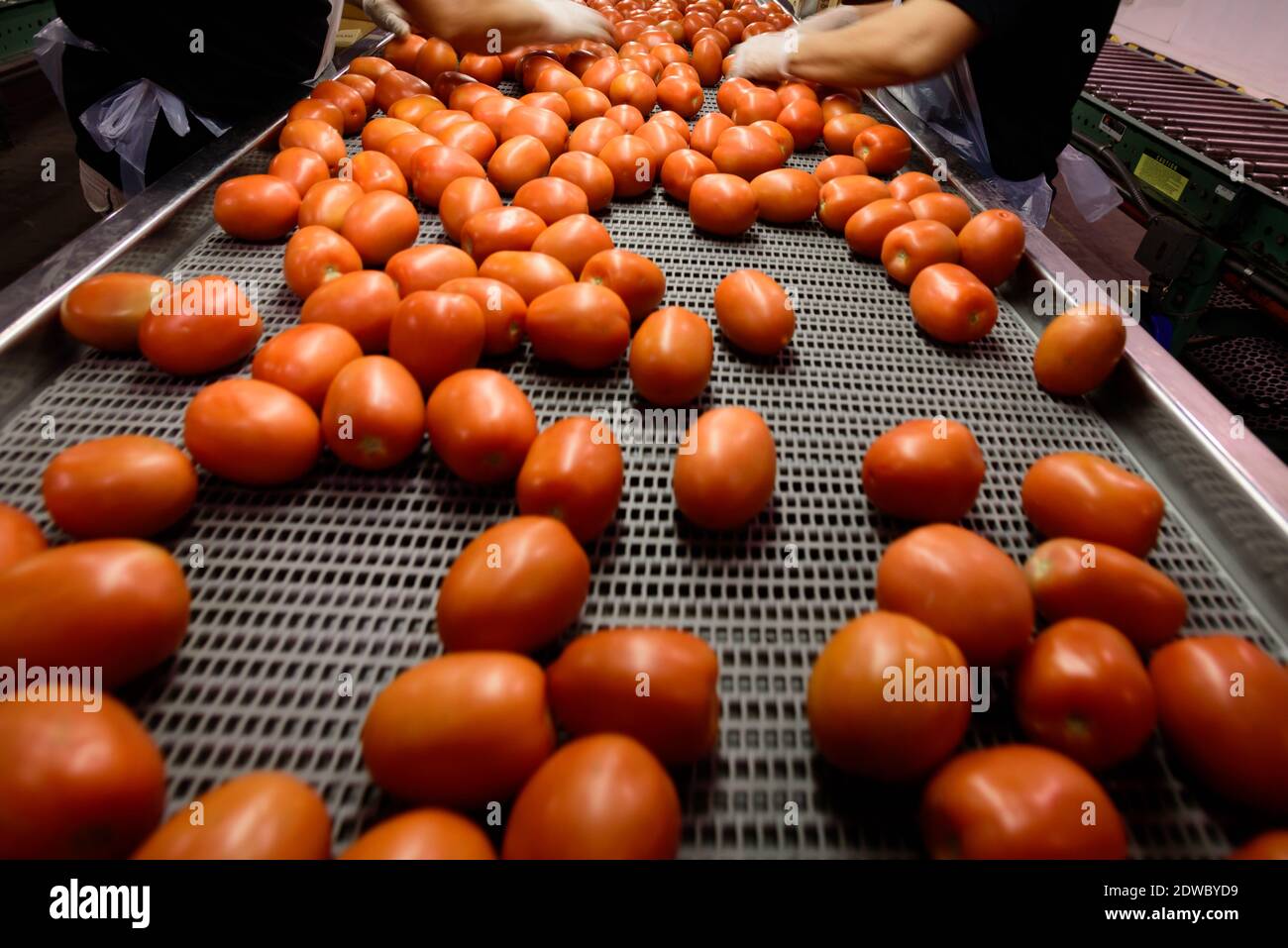 Conveyor mechanism hi-res stock photography and images - Alamy