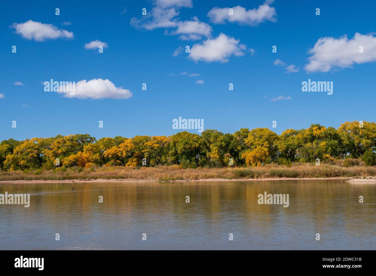 Albuquerque autumn fall hi-res stock photography and images - Alamy