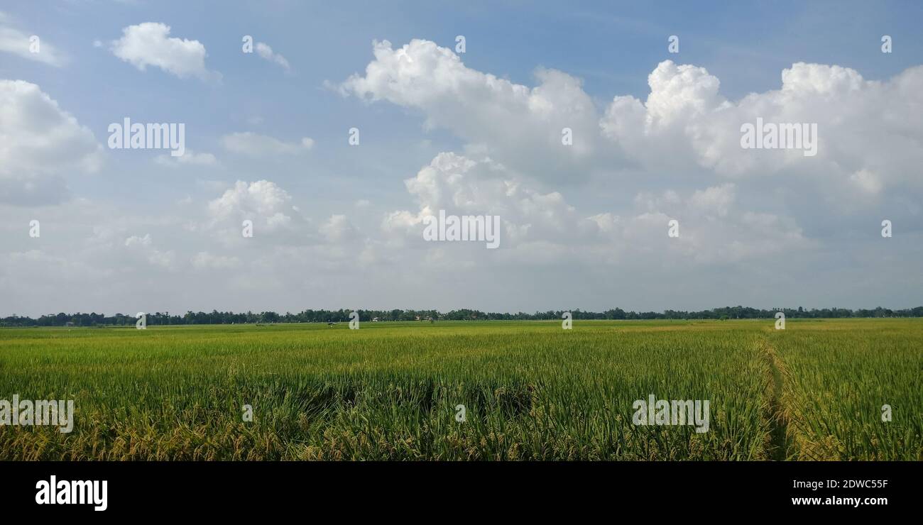 Stretched clouds hi-res stock photography and images - Alamy