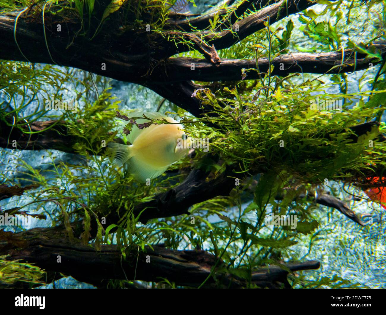 Perspective image hi-res stock photography and images - Alamy