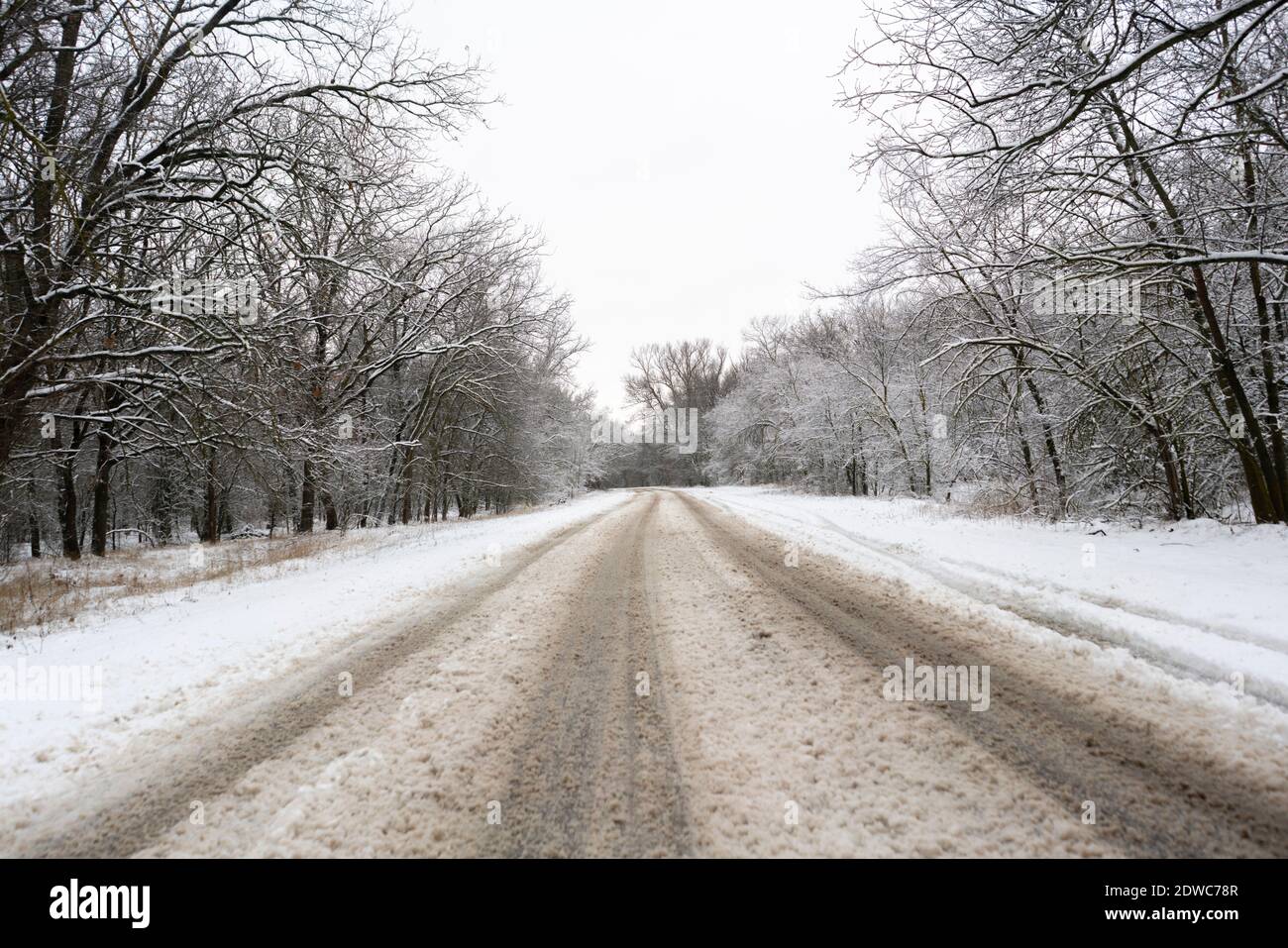 snowy highway road going through the forest and trees, winter season ...