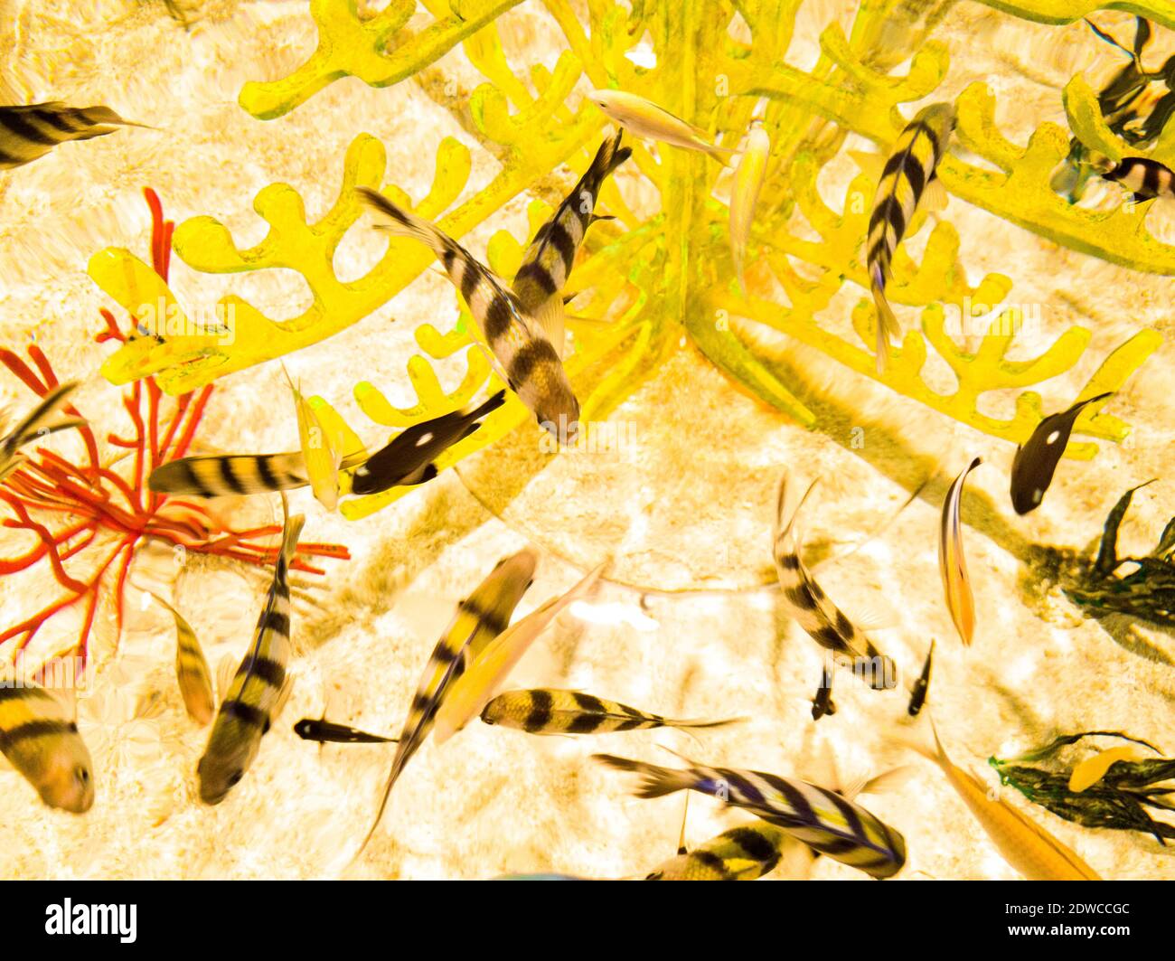 Childish background hi-res stock photography and images - Alamy