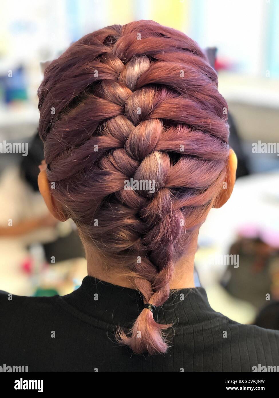 Rear View Of Woman With Braided Hair Stock Photo - Alamy