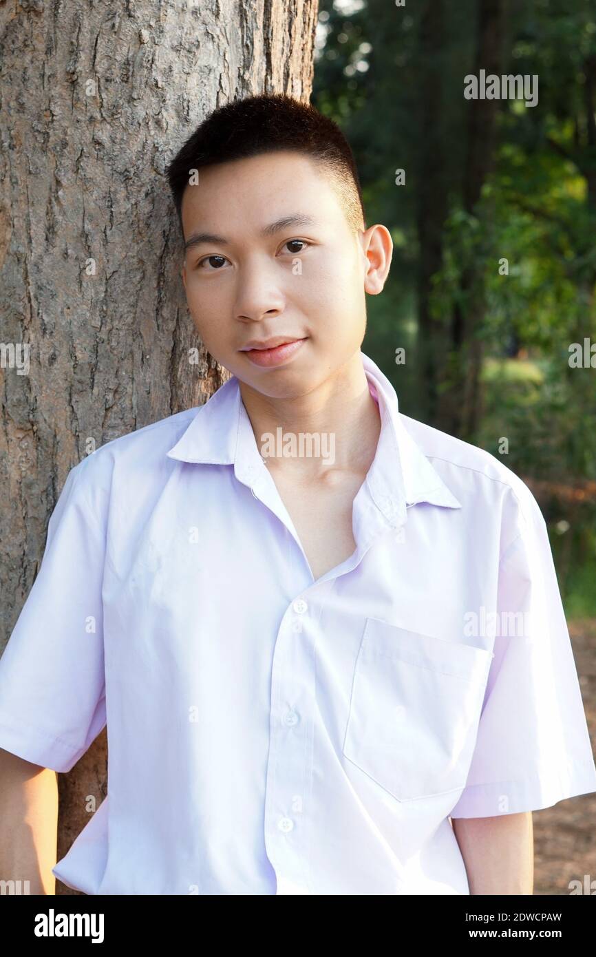 Indian tree trunk hi-res stock photography and images - Alamy