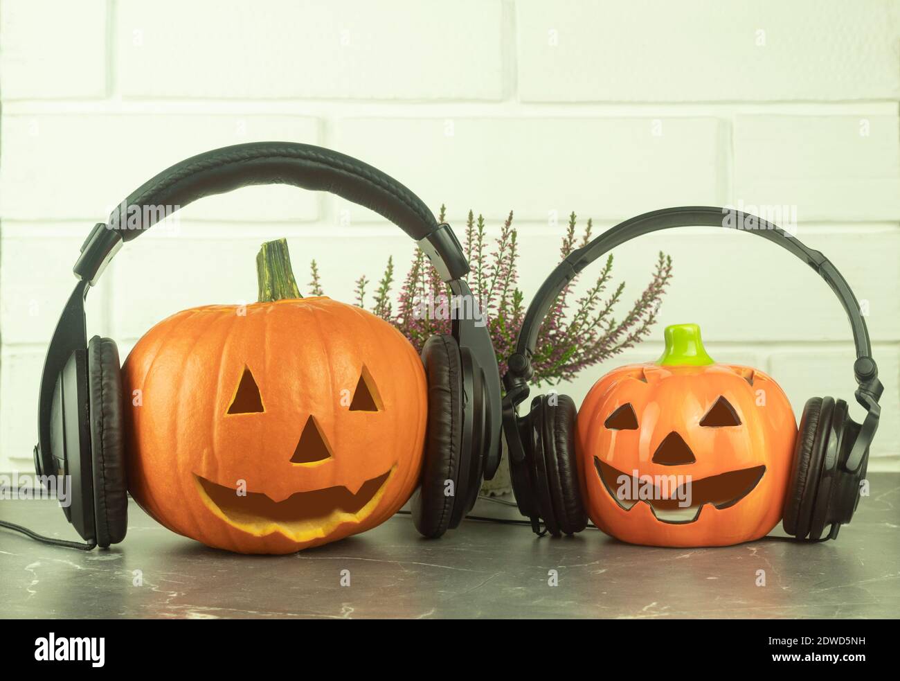 Fresh pumpkin for halloween as background with place for text. Concept ...