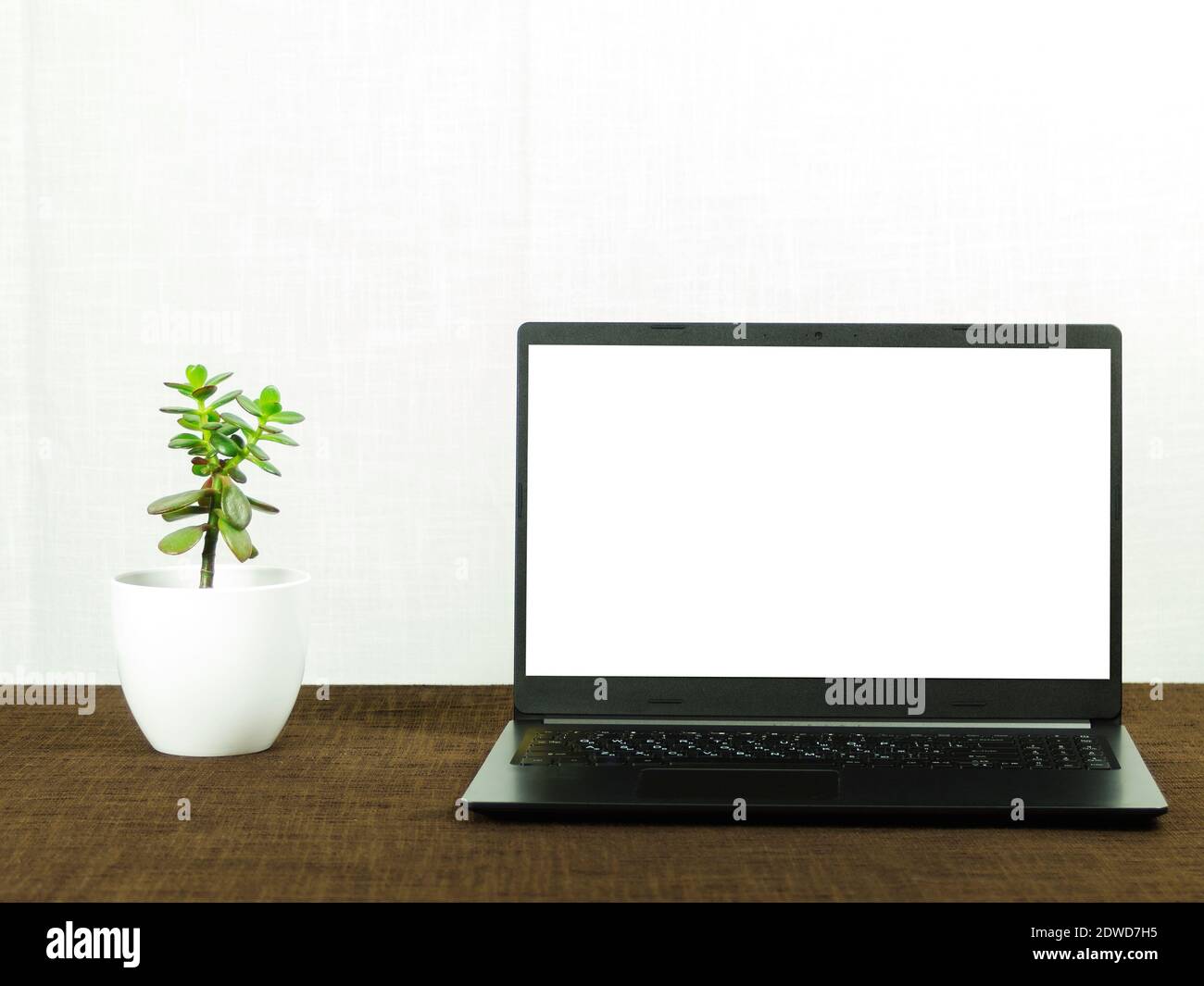 Lcd monitor text hi-res stock photography and images - Alamy