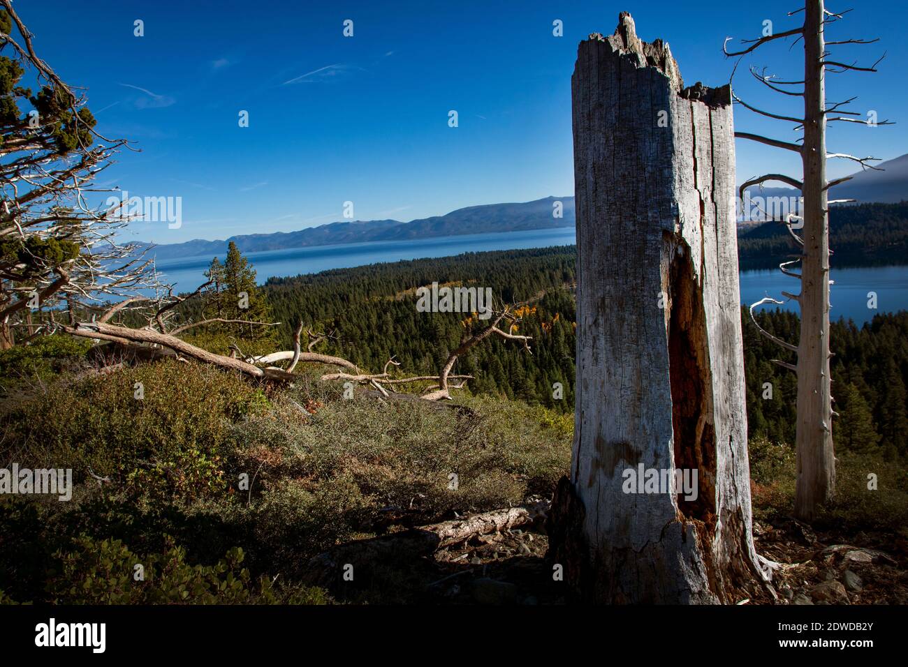 Lake Tahoe and Fallen Leaf Lake, California Stock Photo - Alamy