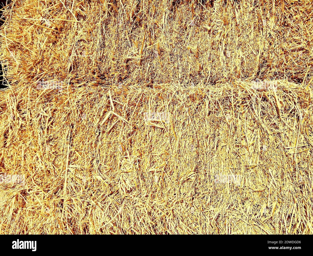 Straw In Our Farm Stock Photo - Alamy
