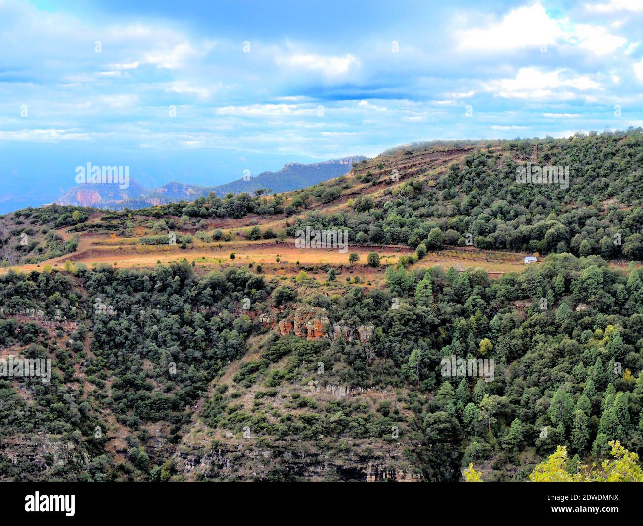 Sinforosa hi-res stock photography and images - Alamy