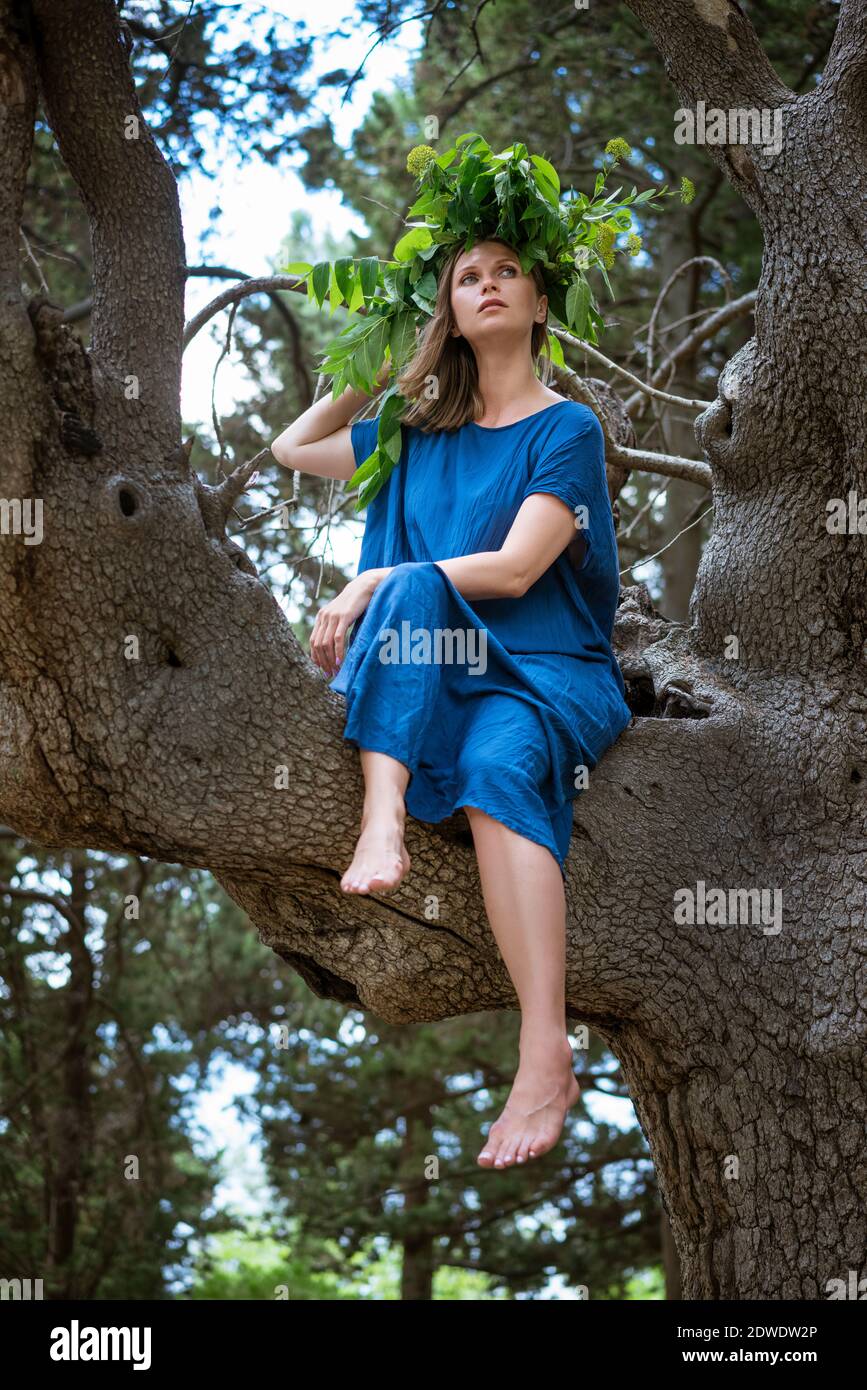 cute woman sitting on a tree in a blue dress Stock Photo - Alamy