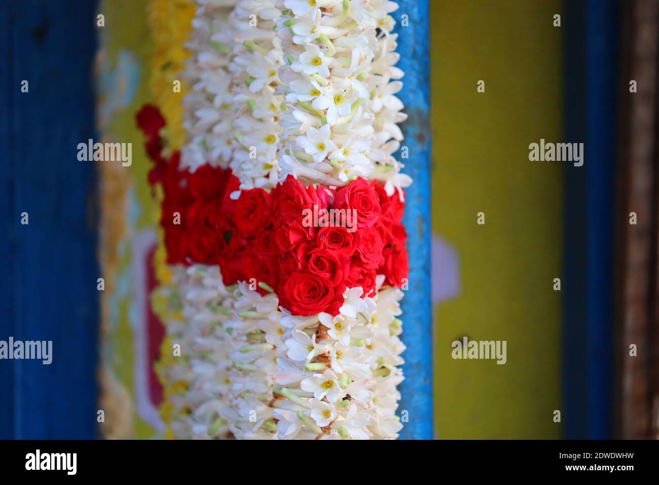Marigold Chain High Resolution Stock Photography and Images - Alamy