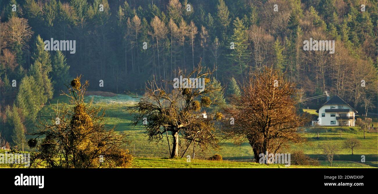 Black forest architecture lahr germany hi-res stock photography and ...