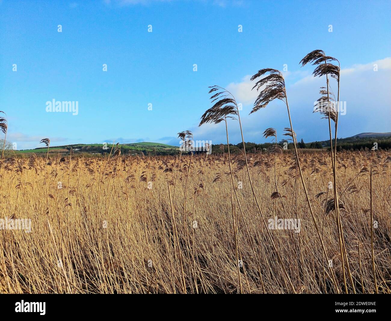 Northern ireland wind farm hi-res stock photography and images - Alamy