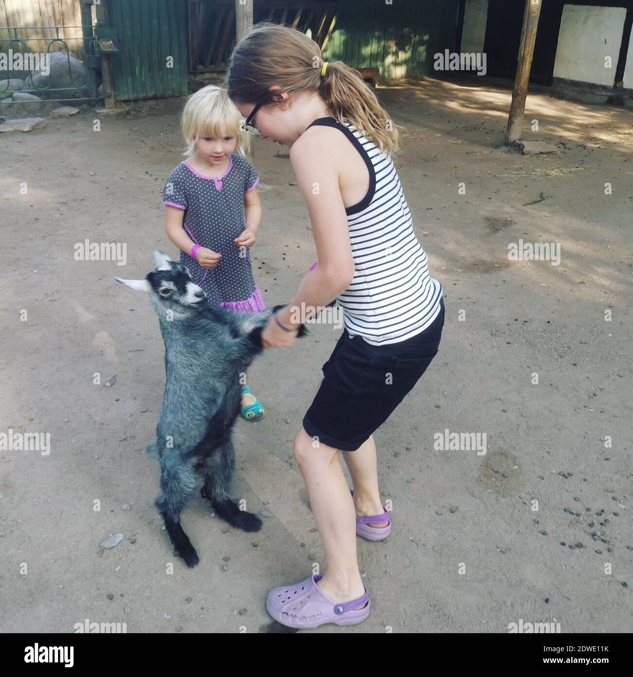 Dancing goat hi-res stock photography and images - Alamy