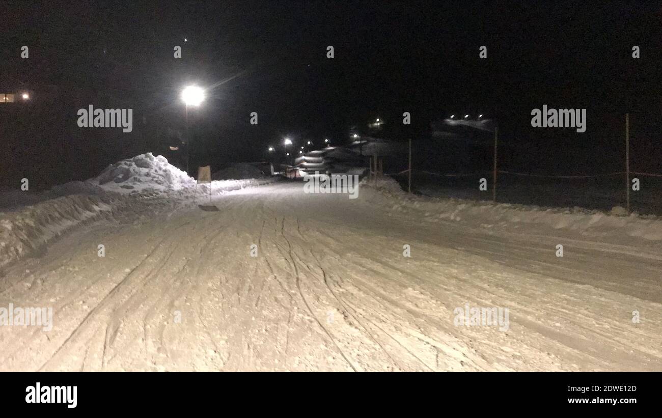 Snow covered tree at night illuminated by street lighting hi-res stock ...