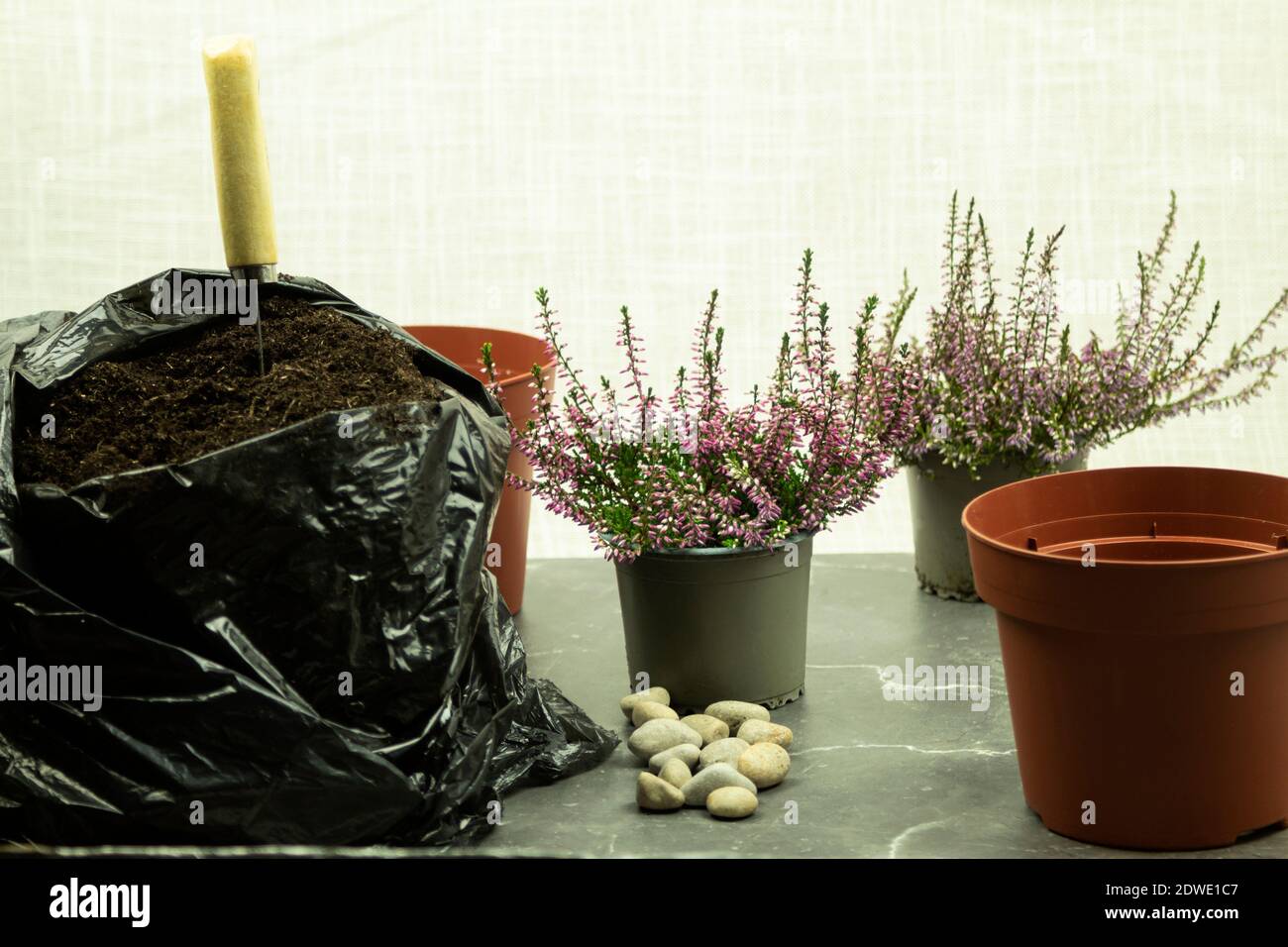 Preparation of soil hi-res stock photography and images - Alamy