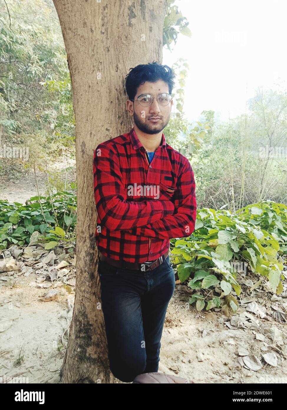 Indian tree trunk hi-res stock photography and images - Alamy