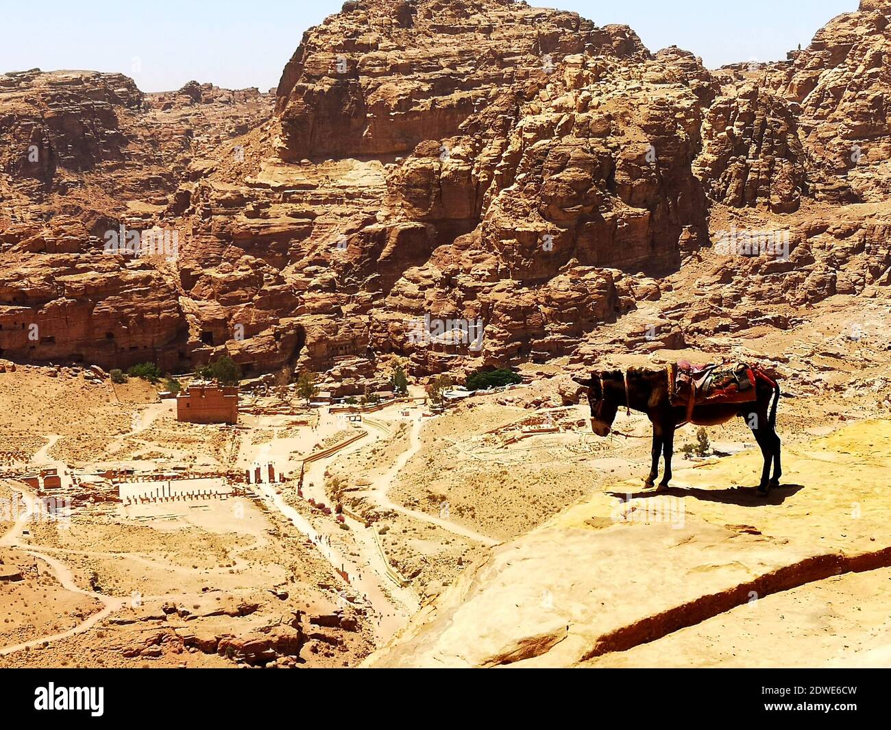 Sand arid donkey hi-res stock photography and images - Alamy