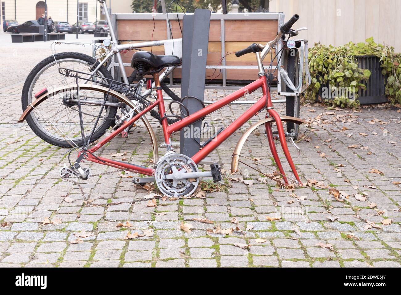 Bicycle Without Wheels at Jonathan Boas blog