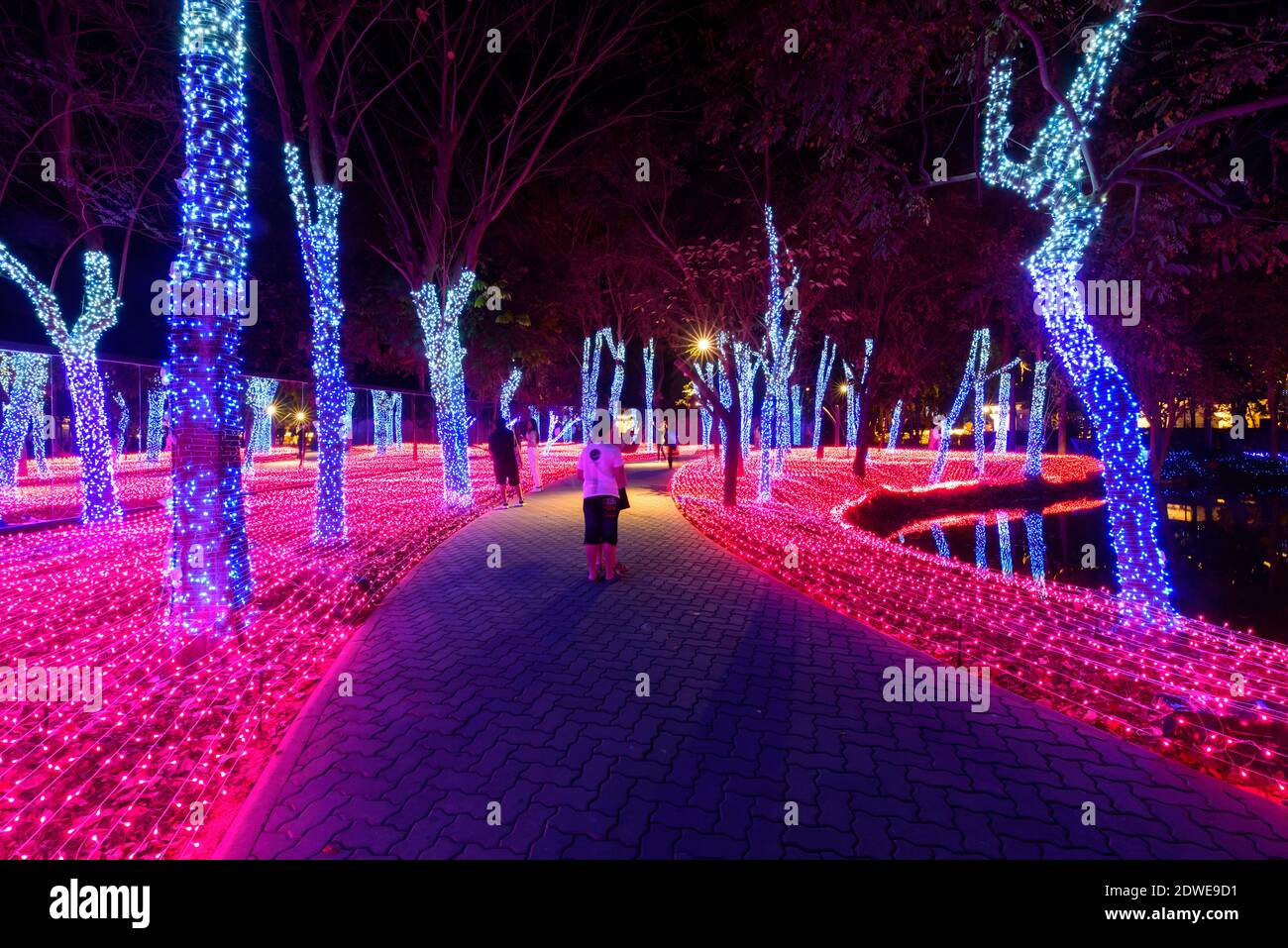 Lighting decorate on the tree in lighting festival showing countdown ...