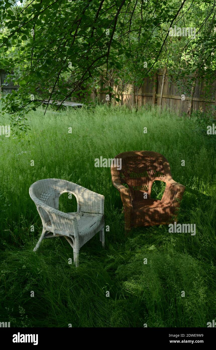 Two people under shade tree hi-res stock photography and images - Alamy