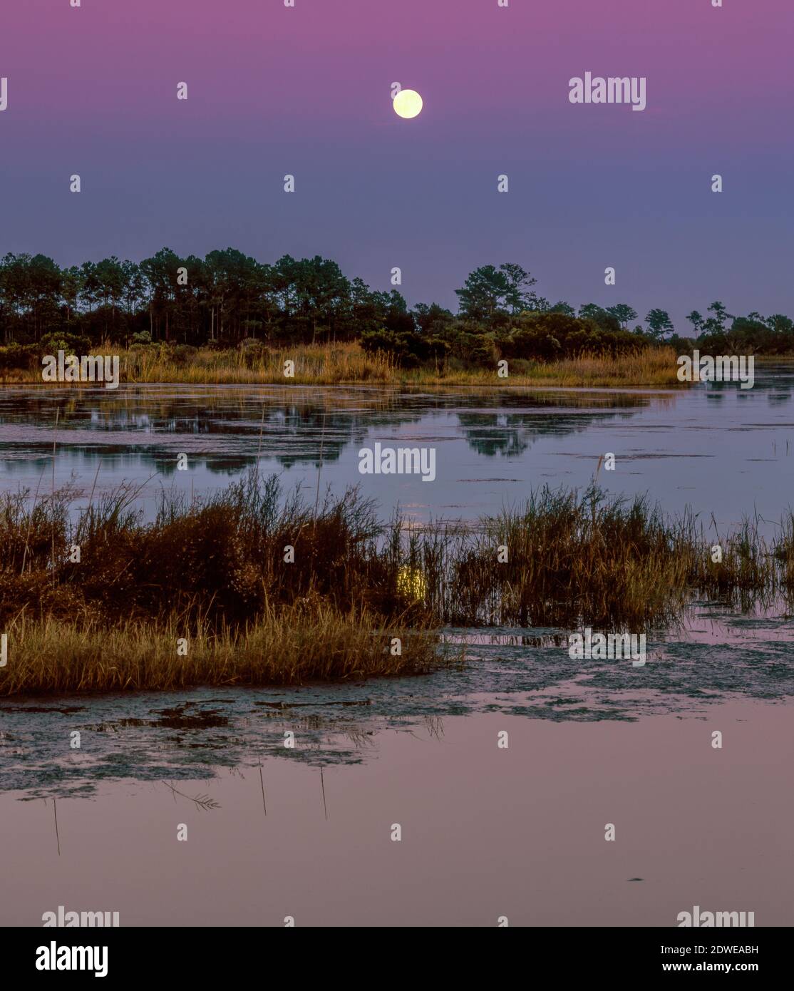 Moonrise, Doe Hall Plantation, McLellanville, South Carolina Stock ...