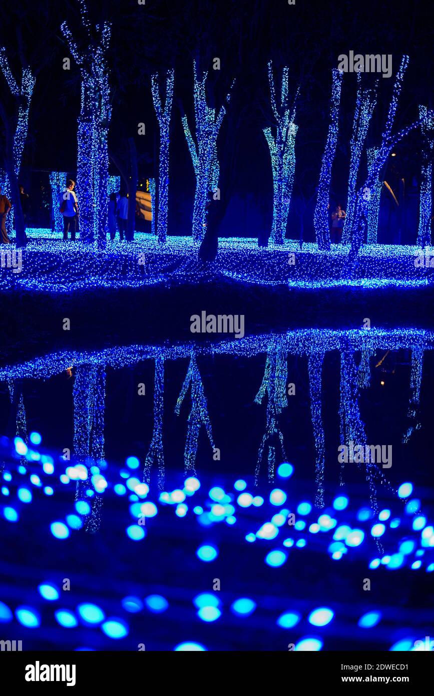 Lighting decorate on the tree in lighting festival showing countdown ...