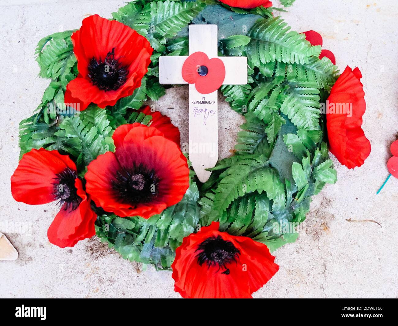 Anzac day australia poppies hi-res stock photography and images - Alamy
