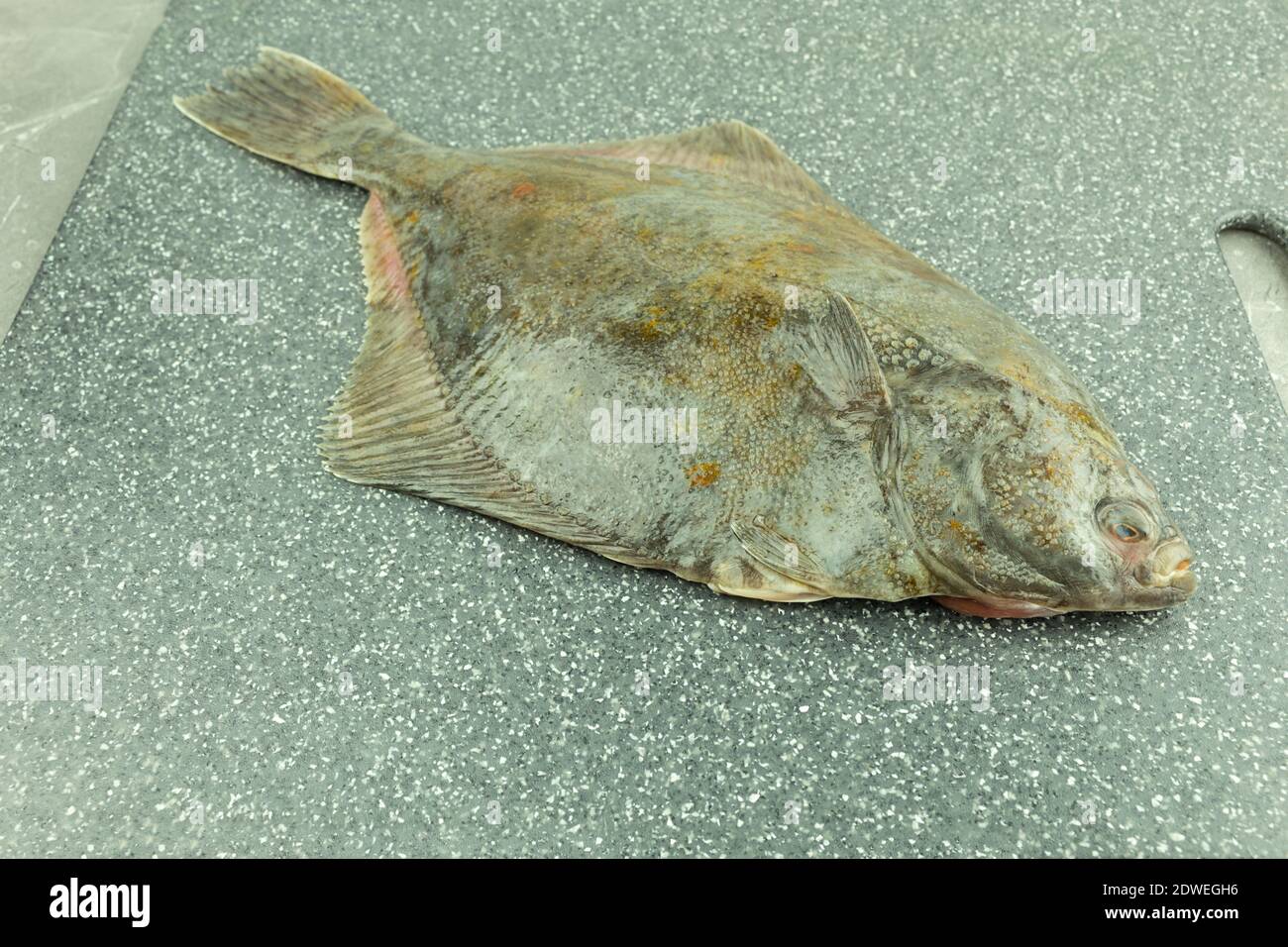 Fish guts cooking hi-res stock photography and images - Alamy