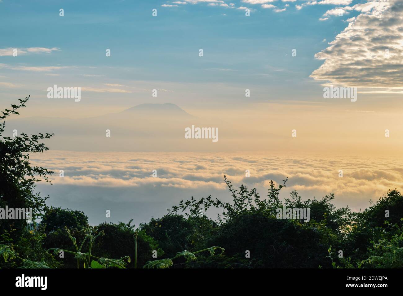 Mount kilimanjaro arusha national park hi-res stock photography and ...